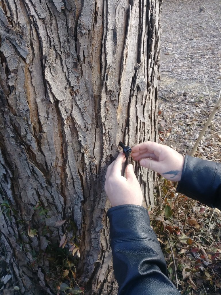 DIY Small Batch Maple Syrup – NowIveSeenEverything