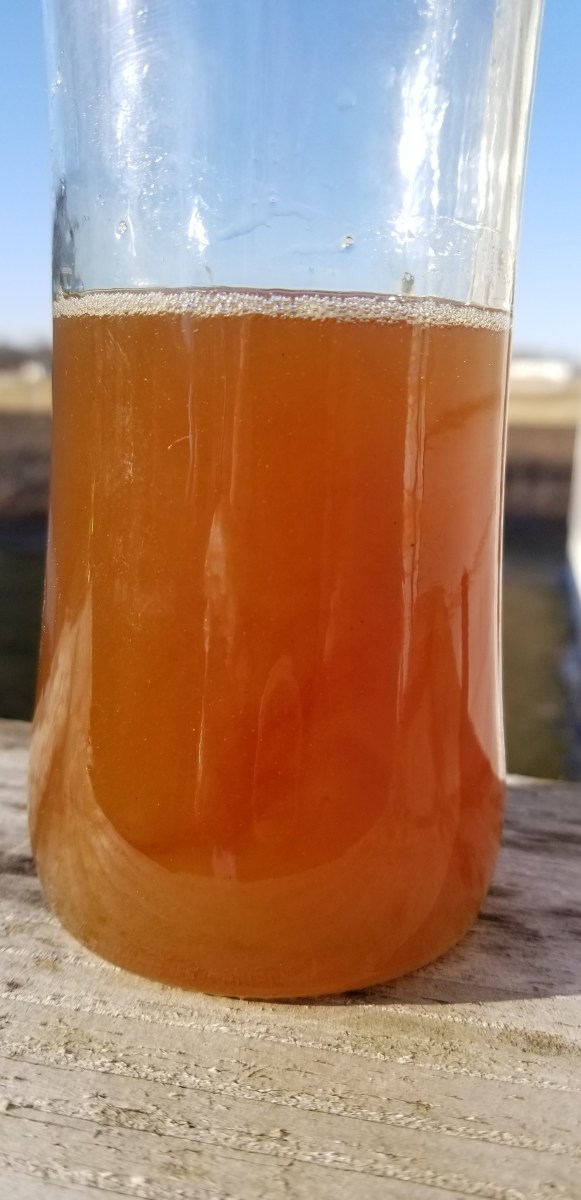 DIY Small Batch Maple Syrup – NowIveSeenEverything