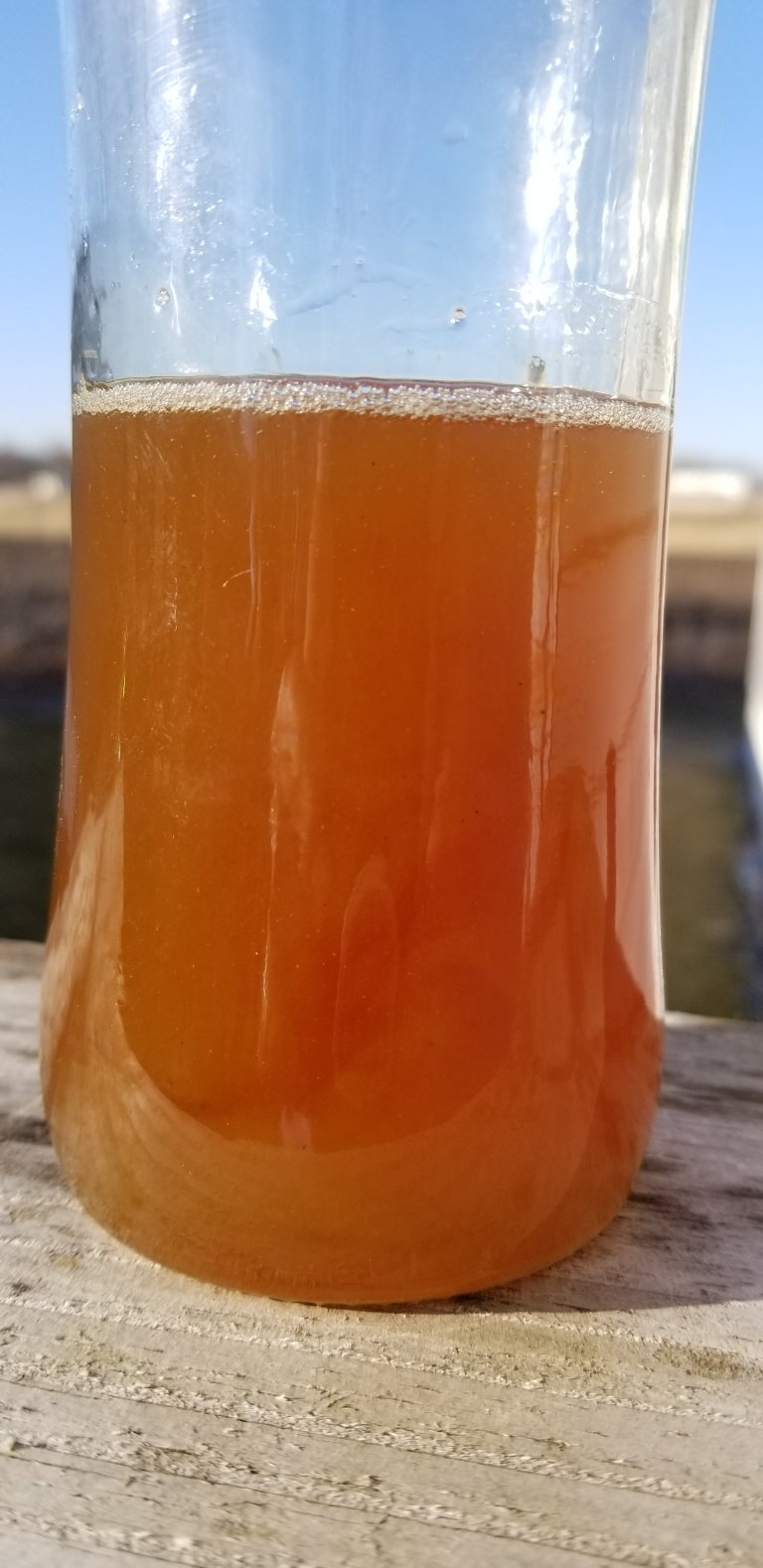 DIY Small Batch Maple Syrup – NowIveSeenEverything